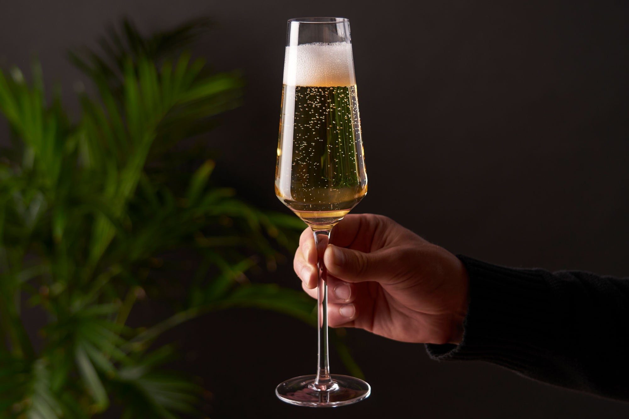 Glassware Guide: Cocktail Edition – Viski